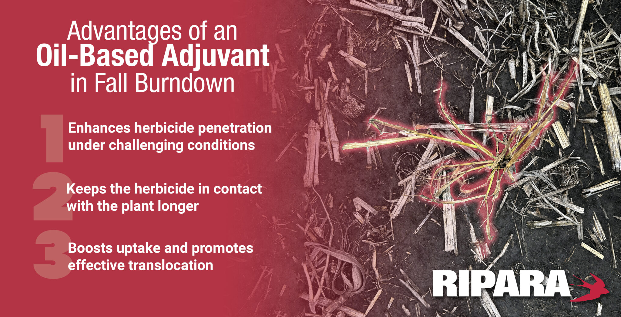 3 Advantages to Using an Oil-Based Adjuvant in Fall Burndown ...